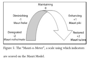 RESTORING THE MAURI TO THE PRE- MV RENA STATE - Whānau Ora