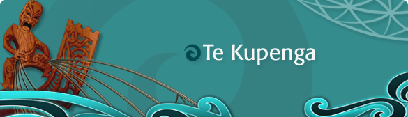 Te Kupenga: first survey of Māori wellbeing - Whānau Ora