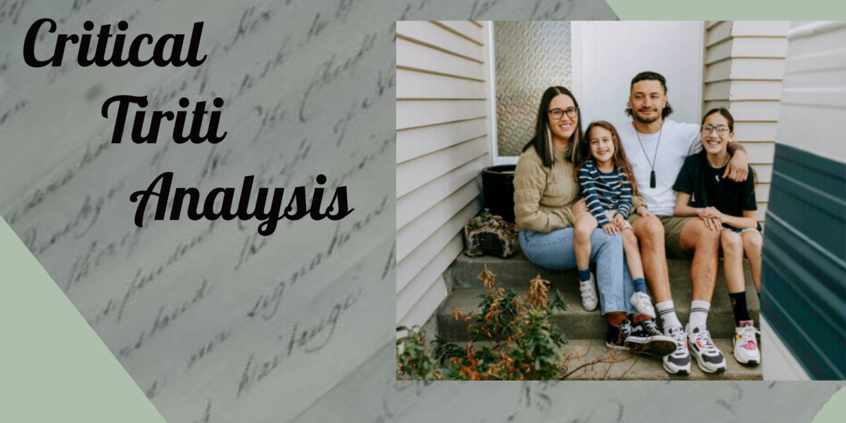 Critical Tiriti Analysis — Community Research