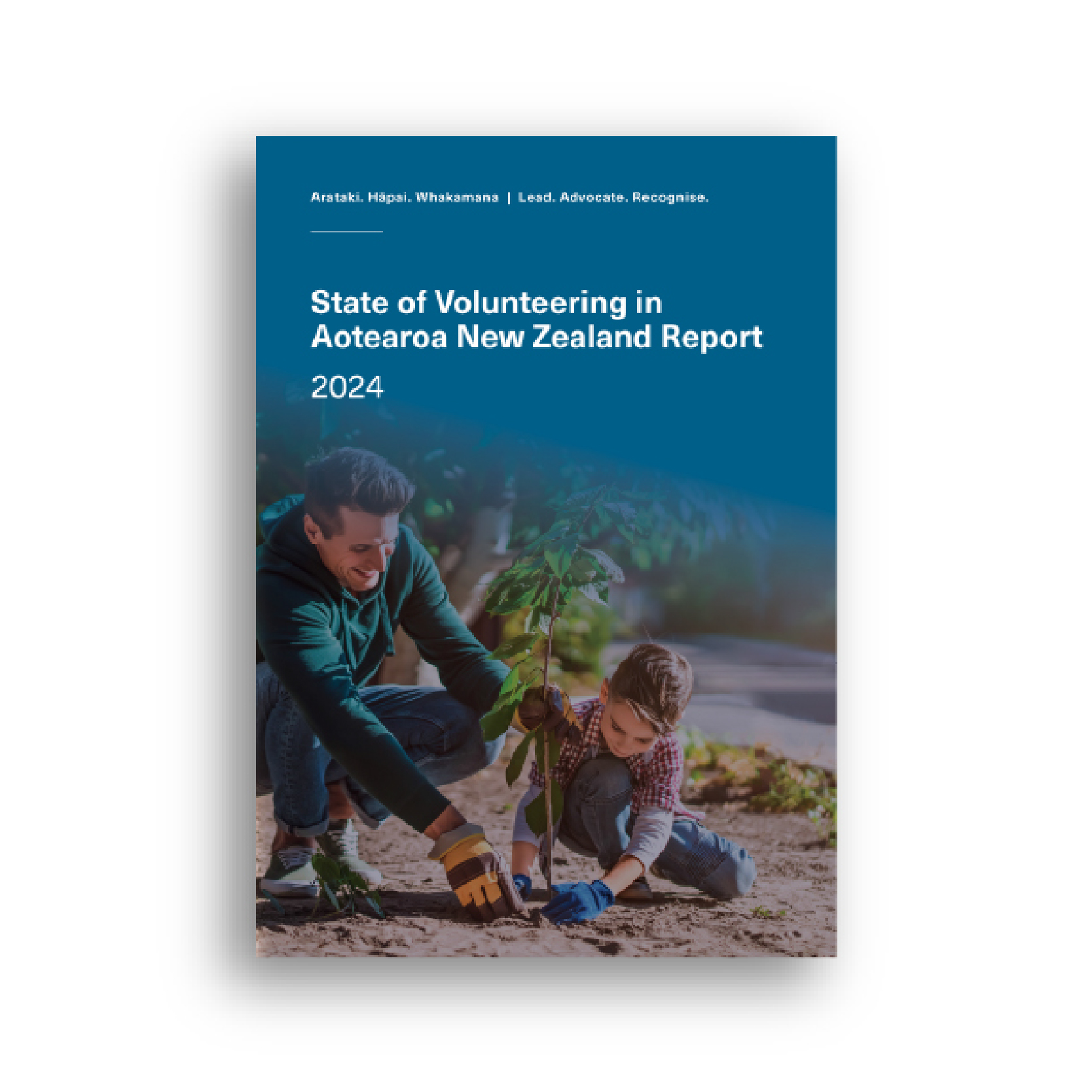 State of Volunteering in Aotearoa New Zealand Report 2024 — Community ...